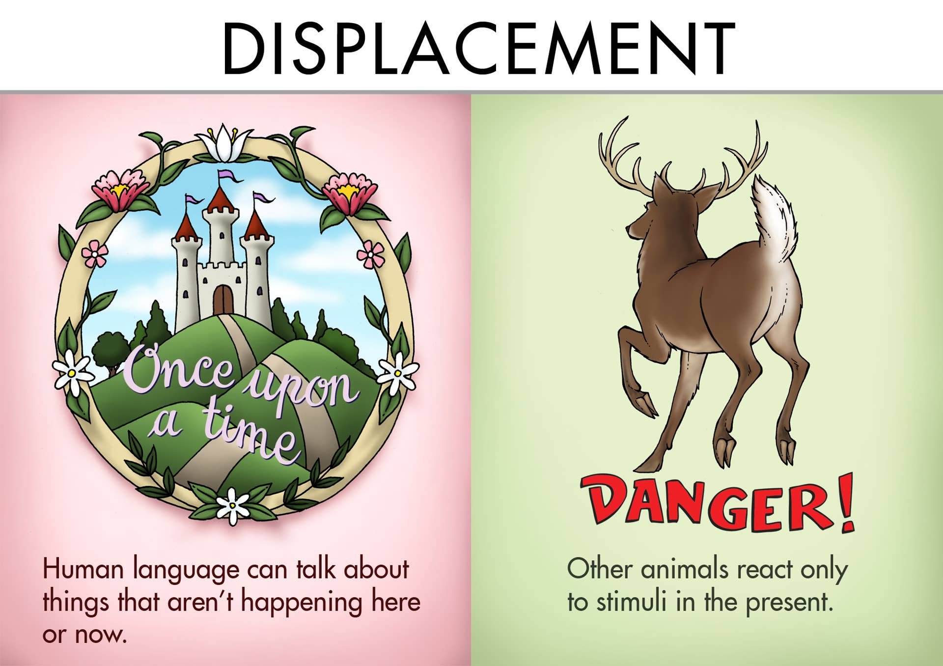 Differences Between Animal and Human Communication - Owlcation