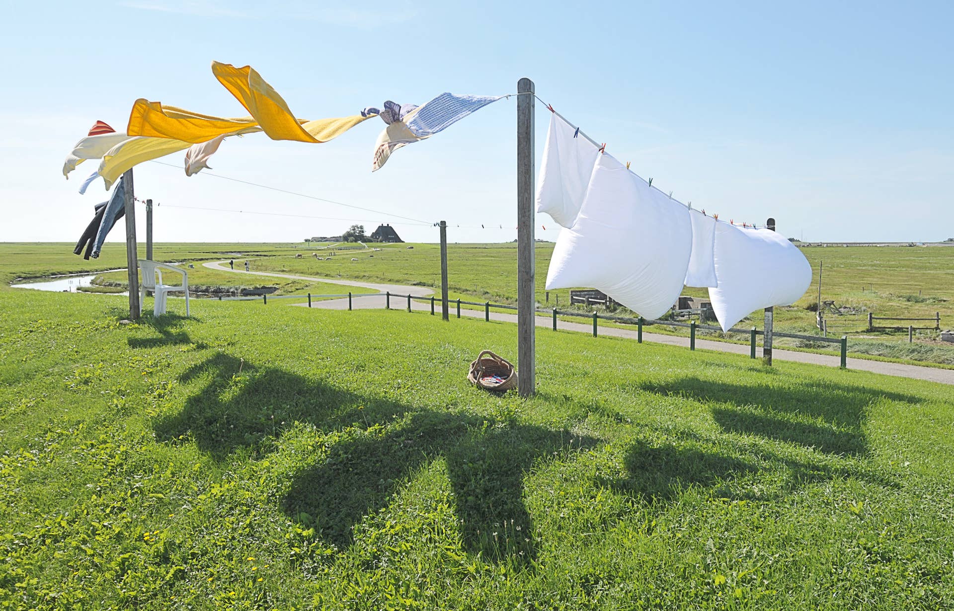 How Bleach Works: Disinfection, Stain Removal, and Dangers - Owlcation