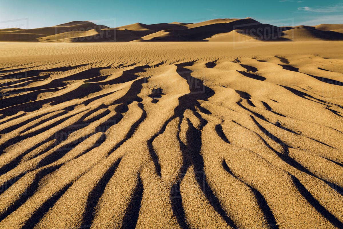 5 Mathematical Patterns in Nature: Fibonacci, Fractals and More - Owlcation