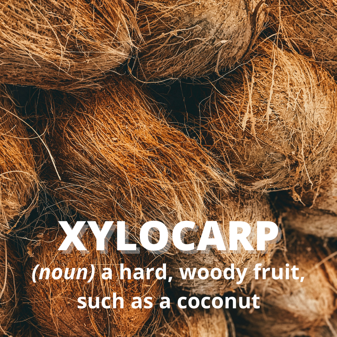 60+ Amazing Words You've Never Heard Of - Owlcation