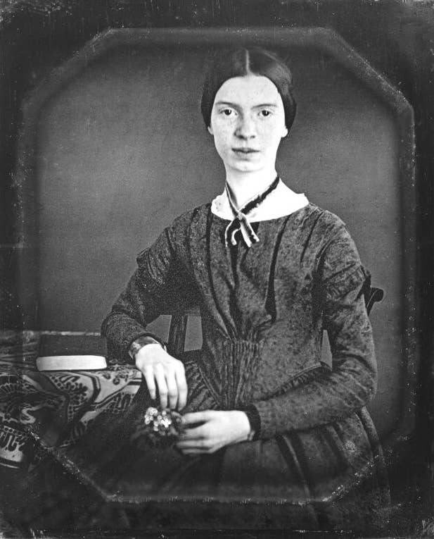 Analysis: Emily Dickinson's "The Brain – is wider than the Sky" - Owlcation