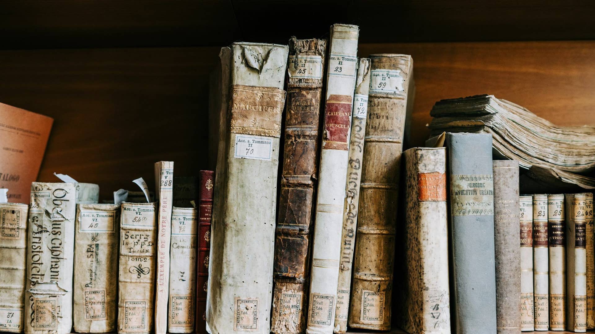 Key Concepts of the Philosophy of Edmund Husserl - Owlcation