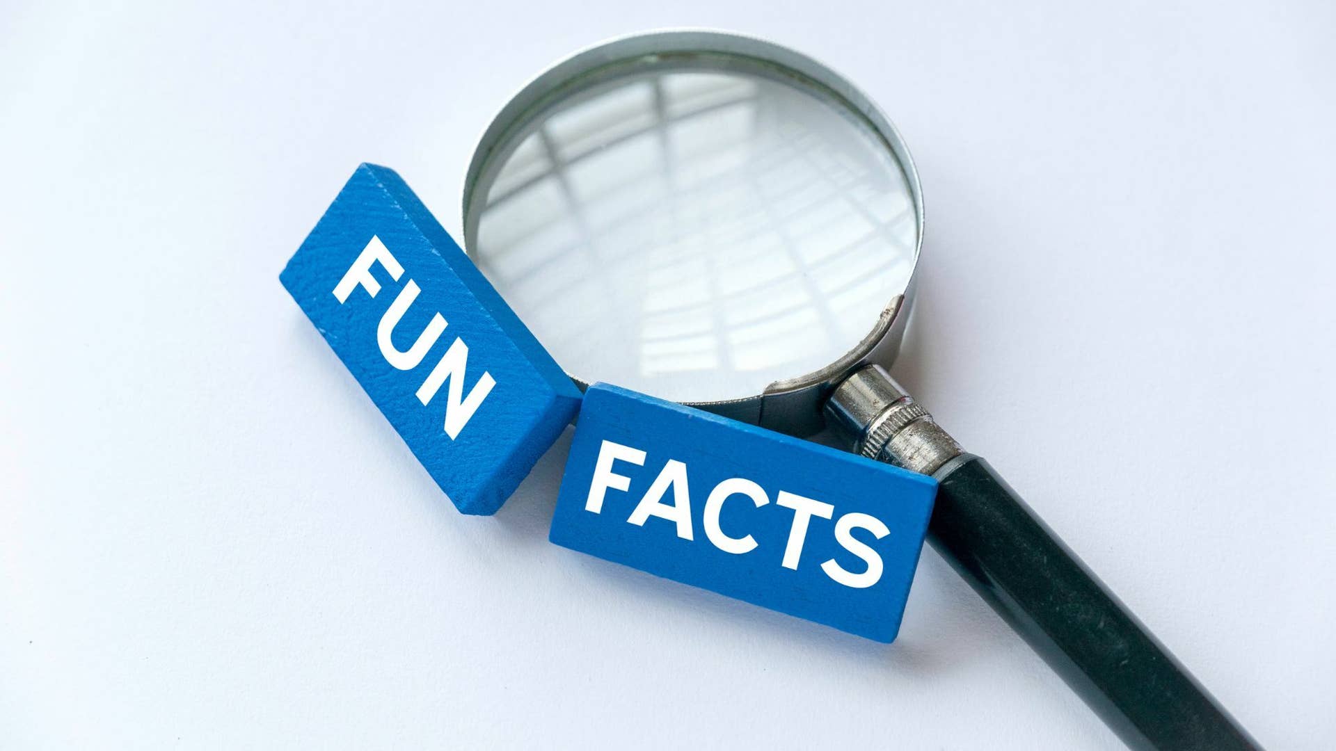 200+ Weird Fun Facts Most People Don't Know - Owlcation