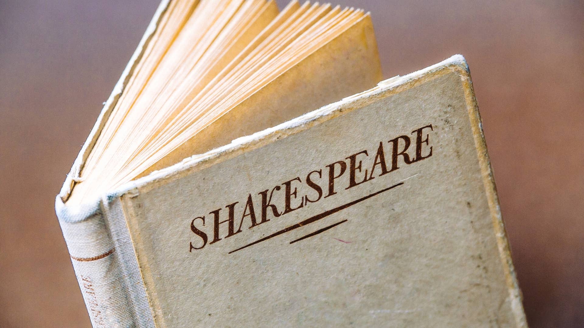 Synopsis and Analysis of All 7 Soliloquies in "Hamlet" - Owlcation