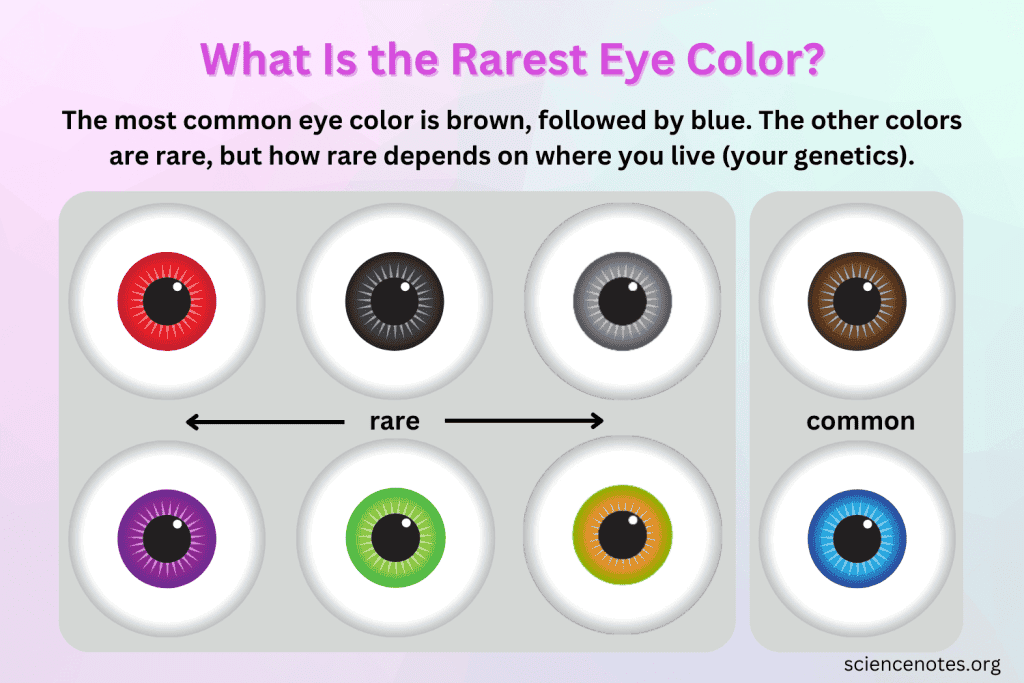Rare and Unique Eye Colors - Owlcation
