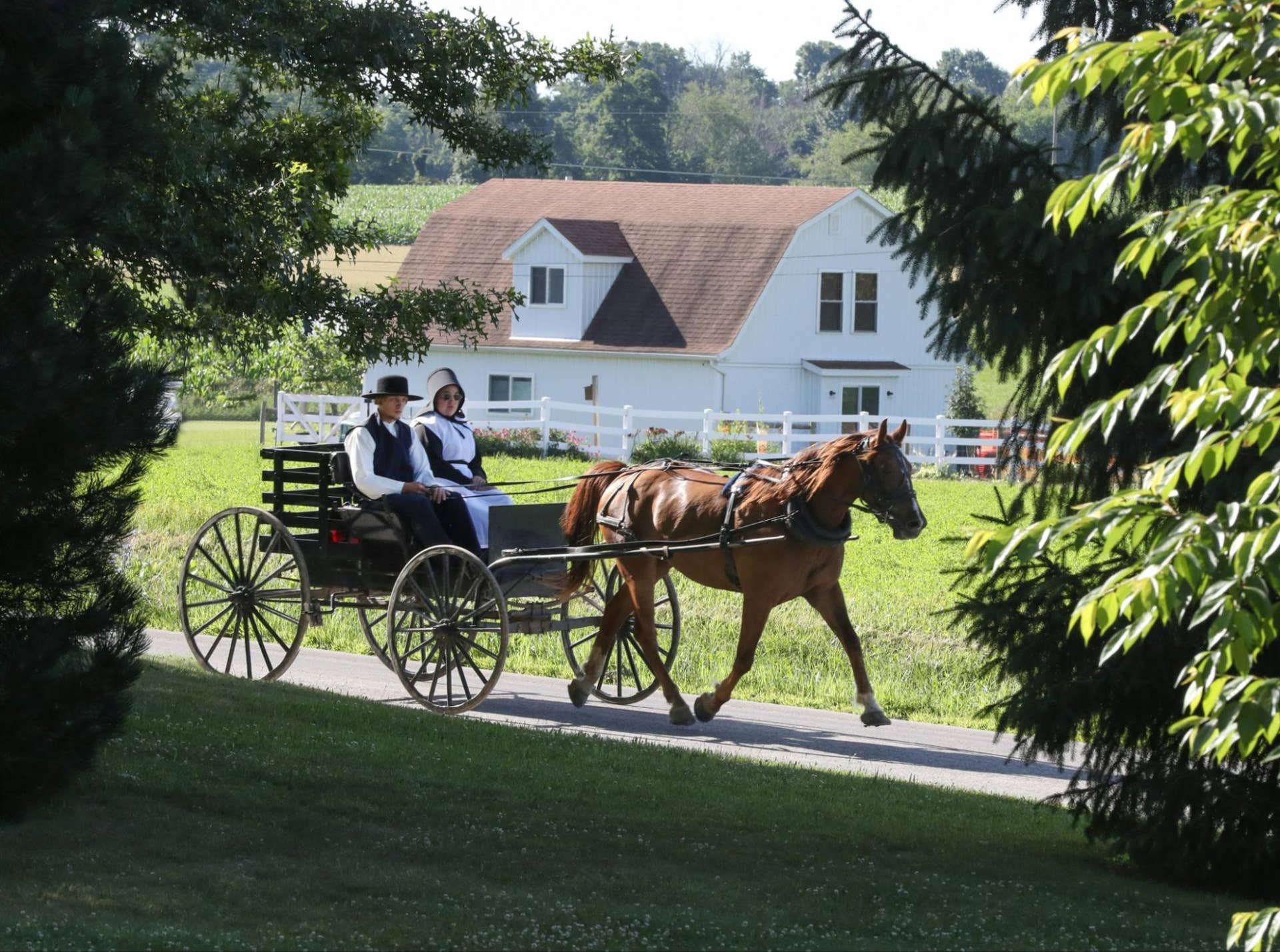 The Amish Are Not Who You Think They Are: 10 Ways of Life That Will ...