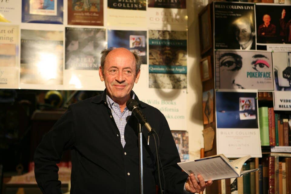 Billy Collins's 'Introduction to Poetry': Meaning, Themes, and Literary ...