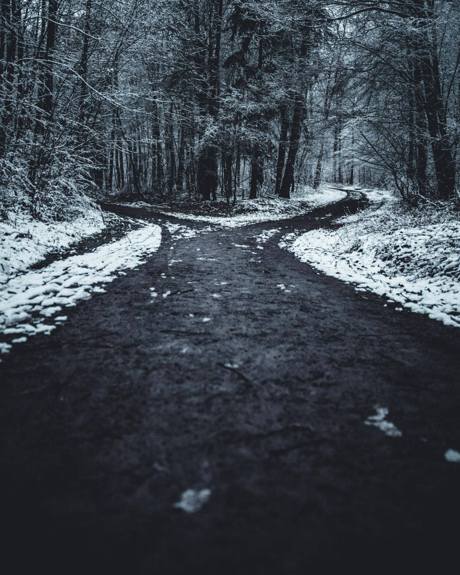 Analysis of "The Road Not Taken" by Robert Frost: The Poem Everyone ...