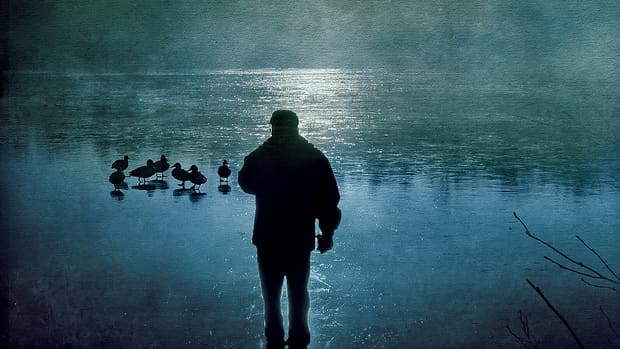 Inside Modern Archetypes: Dissecting the Advocate - Owlcation