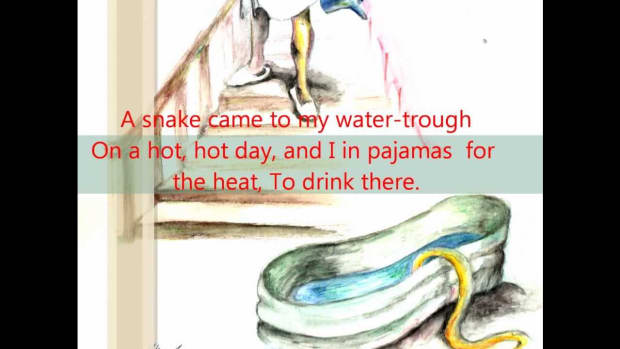 An Analysis of Lawrence Ferlinghetti's "Constantly Risking Absurdity ...