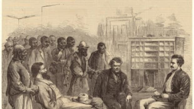 A History of the Ironclad Pook Turtle - Owlcation