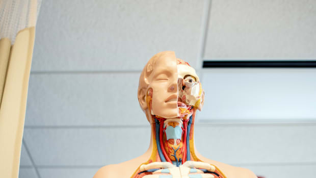 Primary and Secondary Bonds - Owlcation