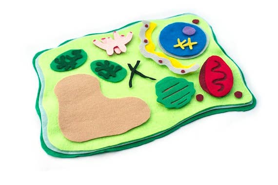 How to Create 3D Plant Cell and Animal Cell Models for Science Class ...