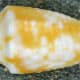 Cone Snail Venom Facts and Potential Medical Benefits - Owlcation