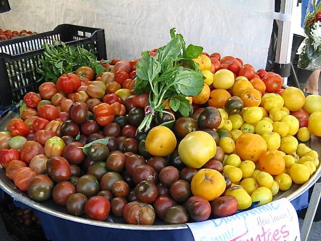 Pros and Cons of Making Food and Nutrition Compulsory Subjects - Owlcation