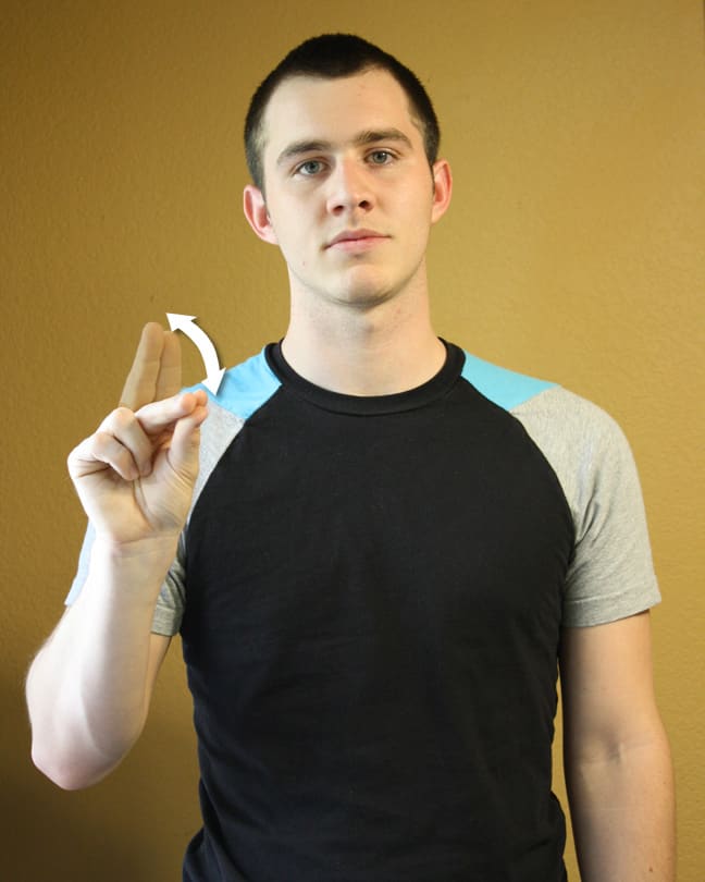 American Sign Language (ASL): Beginner and Basic Words - Owlcation