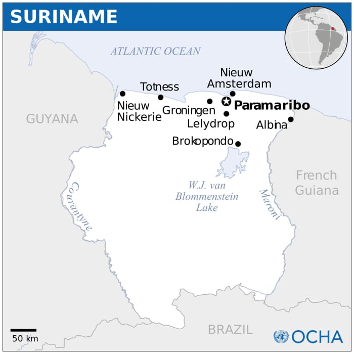 The Surinam Toad: A Strange Amphibian With Unusual Egg Care - Owlcation