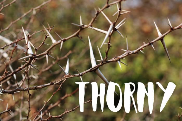 400 Words to Describe Texture - Owlcation