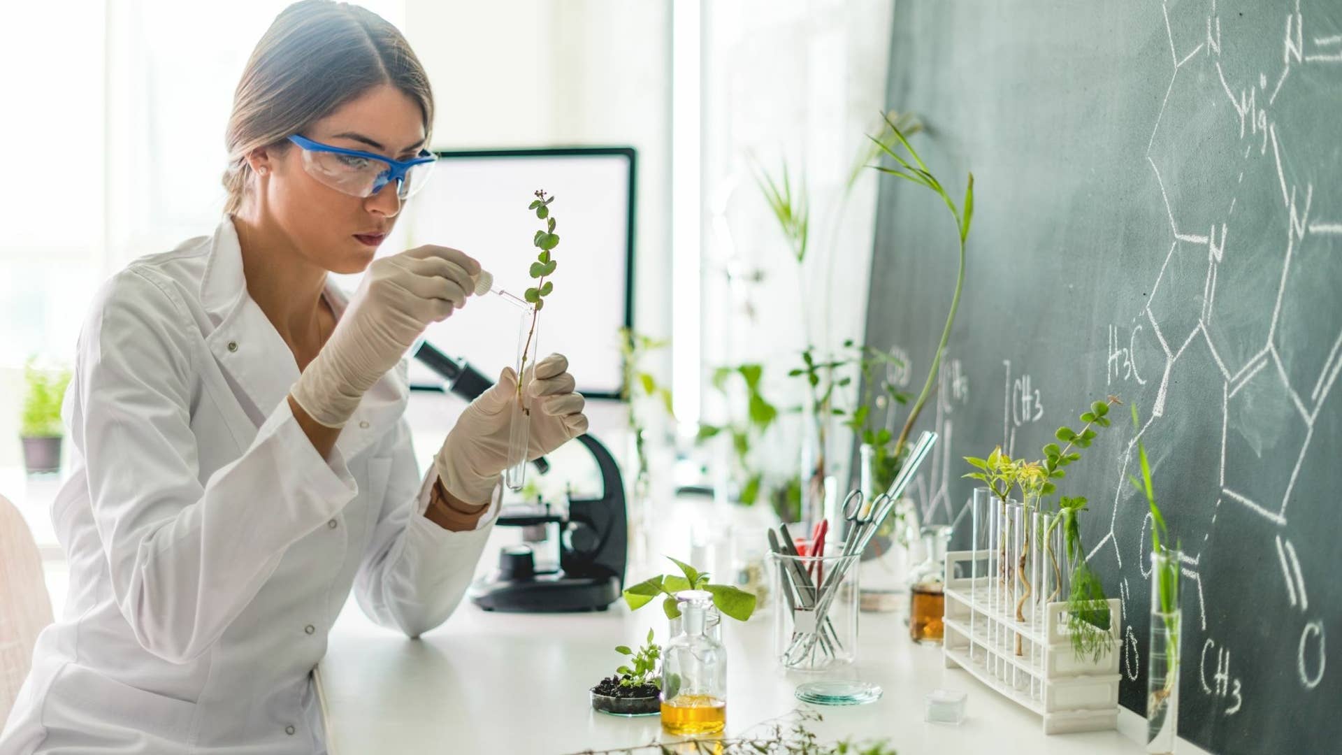 64 Branches of Biology and Their Meaning: From A to Z - Owlcation