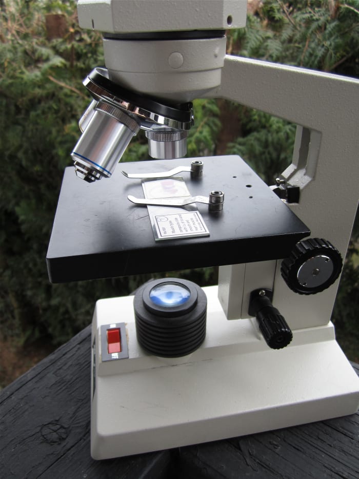 How to Study Biology: Tips From a High School Teacher - Owlcation