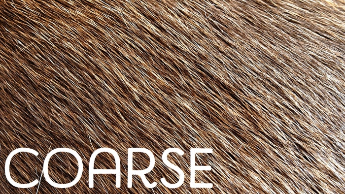 400 Words to Describe Texture - Owlcation