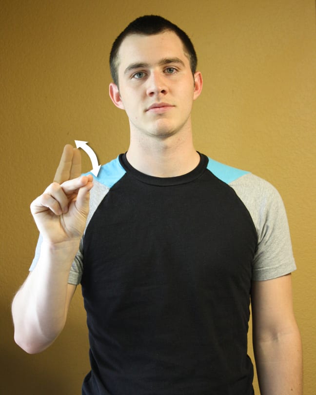 American Sign Language (ASL): Beginner and Basic Words - Owlcation