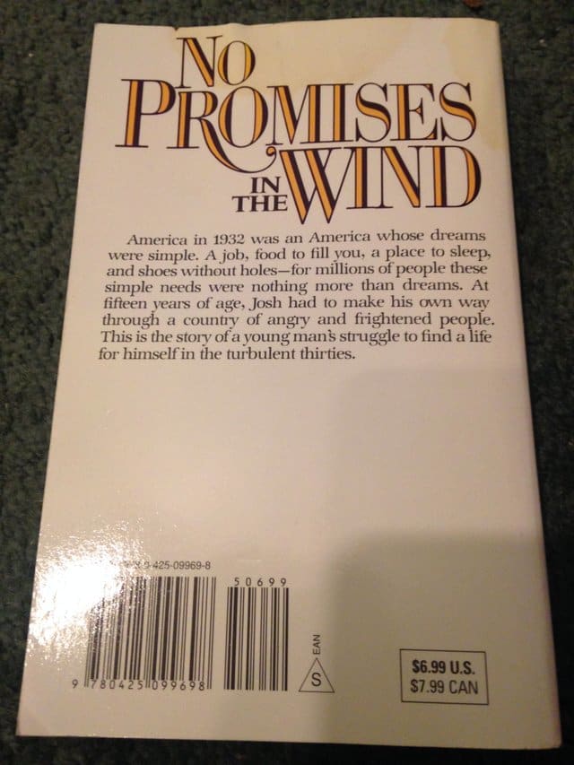 A Book Review of "No Promises in the Wind" by Irene Hunt - Owlcation