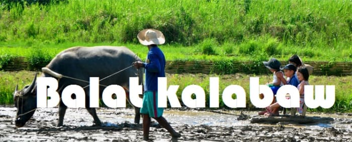 Filipino Idioms: 30 Examples of Tagalog Idiomatic Expressions - Owlcation