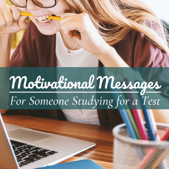 Good Luck Texts and Messages for Someone Studying for an Exam - Owlcation