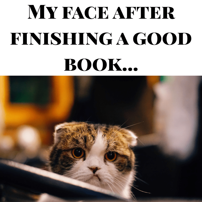 “The Wonder” by Emma Donoghue: Book Review - Owlcation