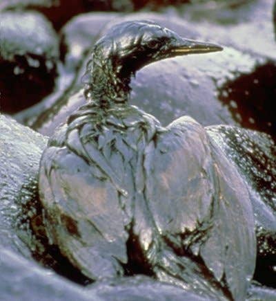 Making Crude Oil Useful: Fractional Distillation and Cracking - Owlcation