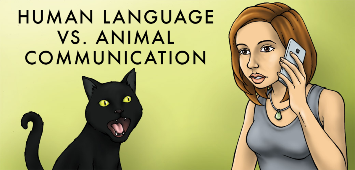 Differences Between Animal and Human Communication - Owlcation