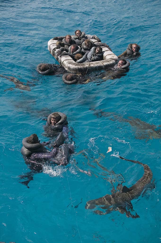 Top 10 Worst Shark Attacks in the World - Owlcation