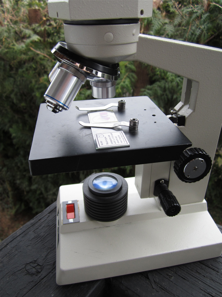 How to Study Biology: Tips From a High School Teacher - Owlcation