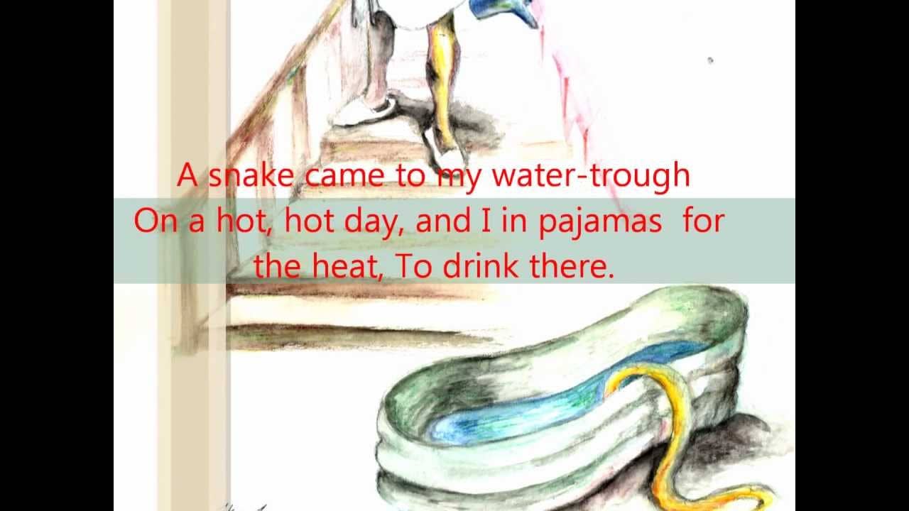 "Snake" by D. H. Lawrence: Thematic Analysis and Devices - Owlcation