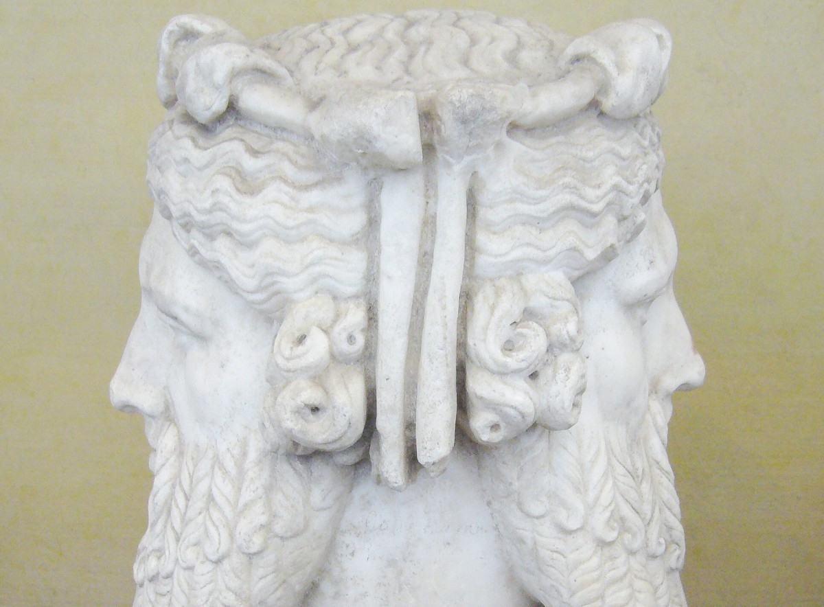 Janus Cats With Two Faces: Craniofacial Duplication Facts - Owlcation