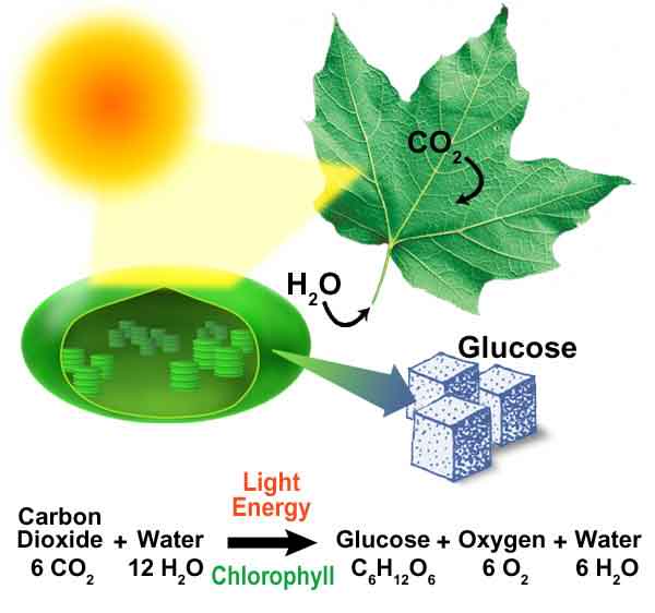 Chemical Reactions and Chemical Equations - Owlcation