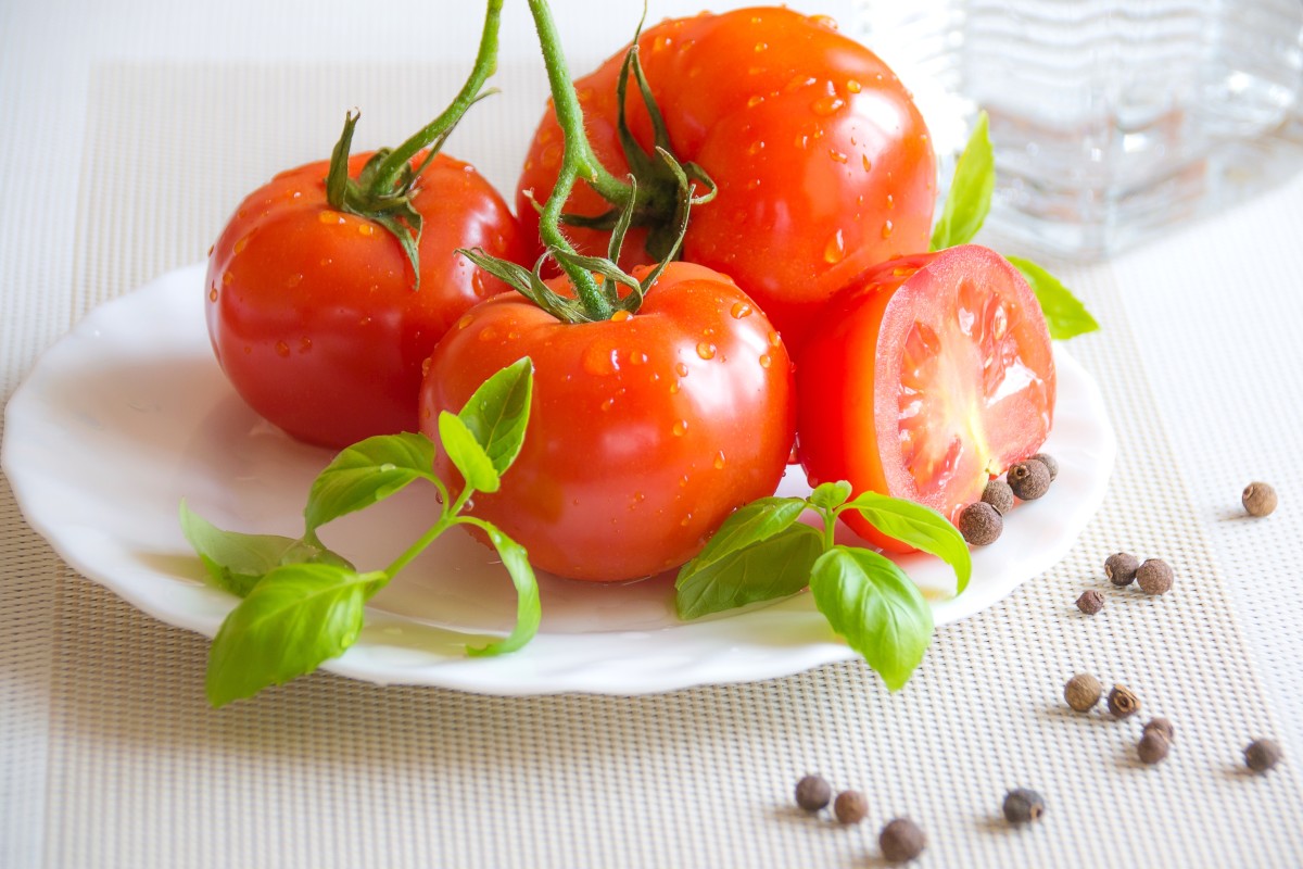 Tomato Plant Facts, History, and Improved Flavor - Owlcation