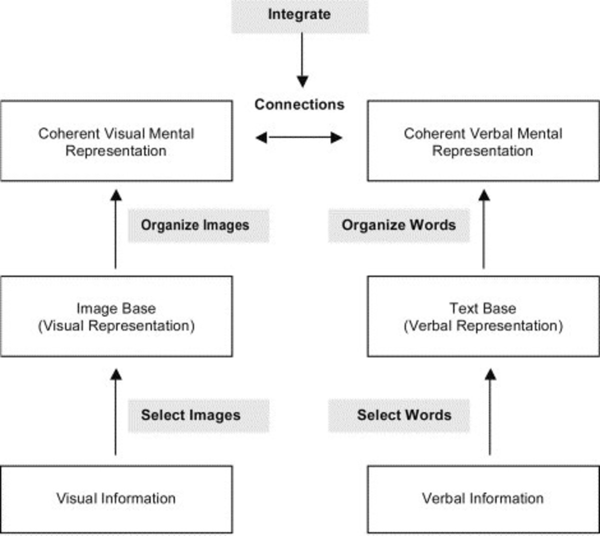 Influence of Visual Aids in Strengthening the Learning Process - Owlcation