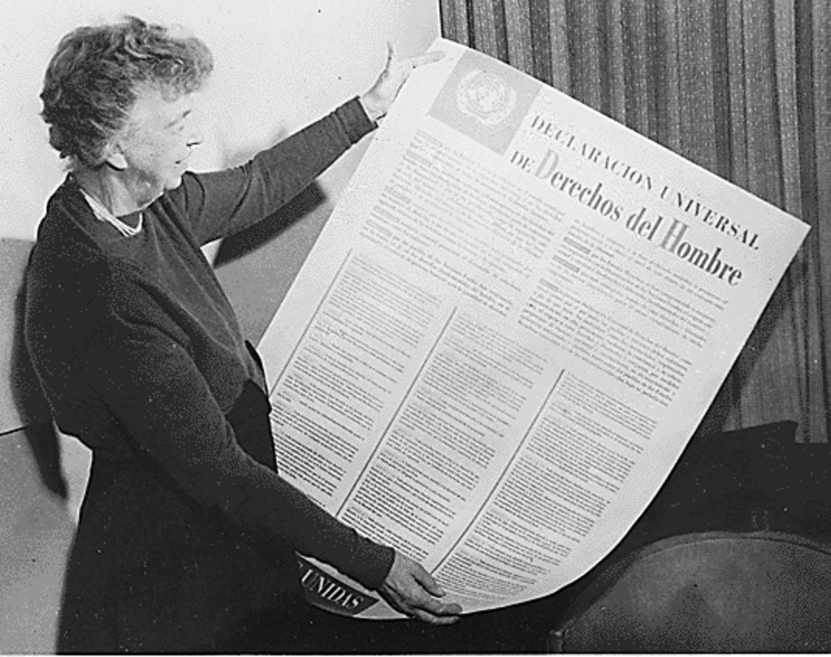Why the Universal Declaration of Human Rights' Preamble Is More ...
