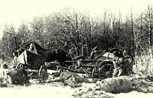 Lithuanian Diaspora: A Brief History of WWII Lithuanian Displaced ...
