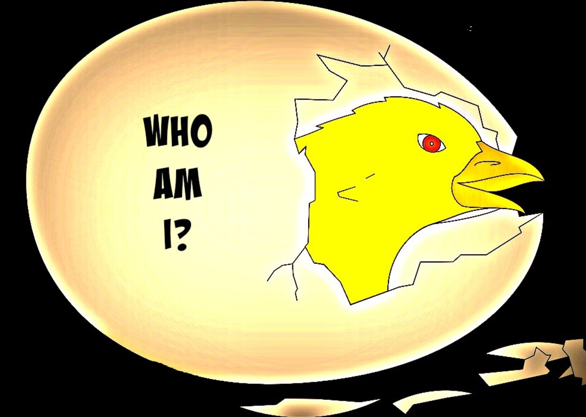 The Emerging Adult: The Life Stage of 20-Somethings - Owlcation