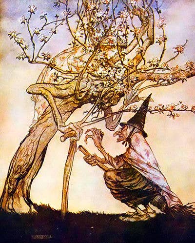 The Question of European Shamanism - Owlcation