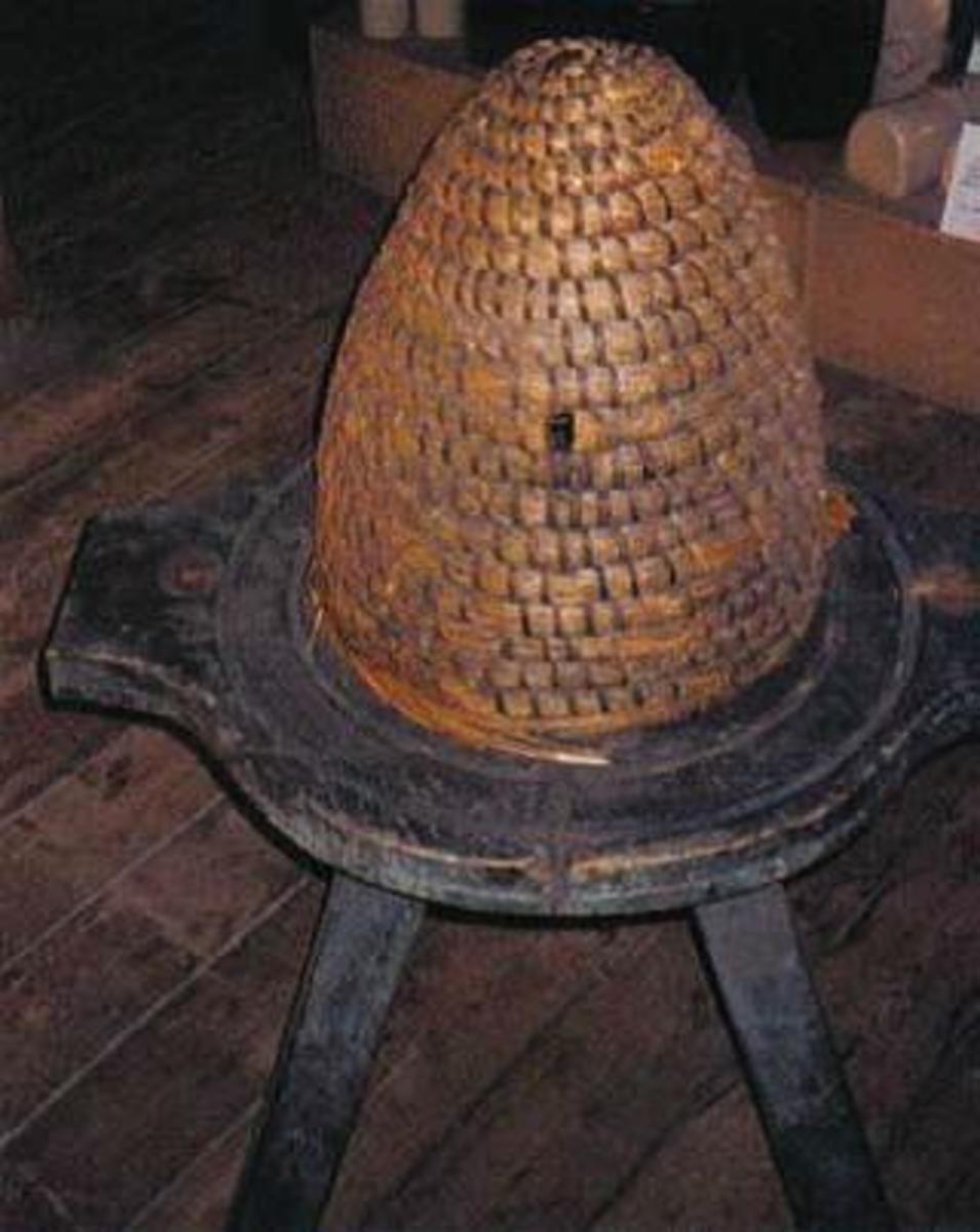 The Celtic Lore of the Honey Bee - Owlcation