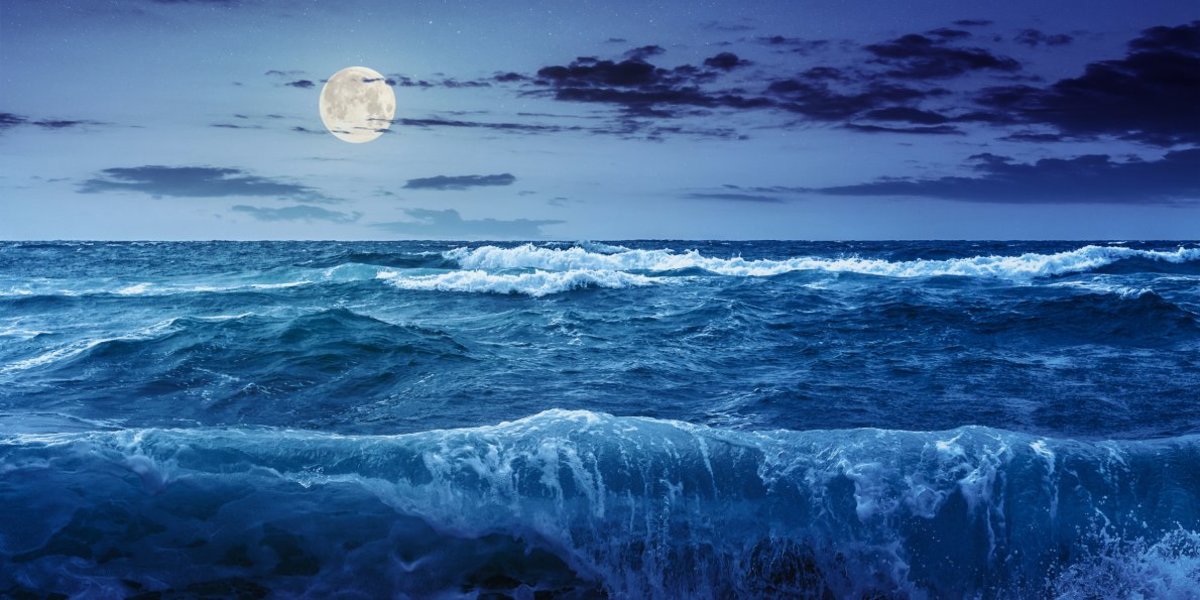 Time Perception - Owlcation