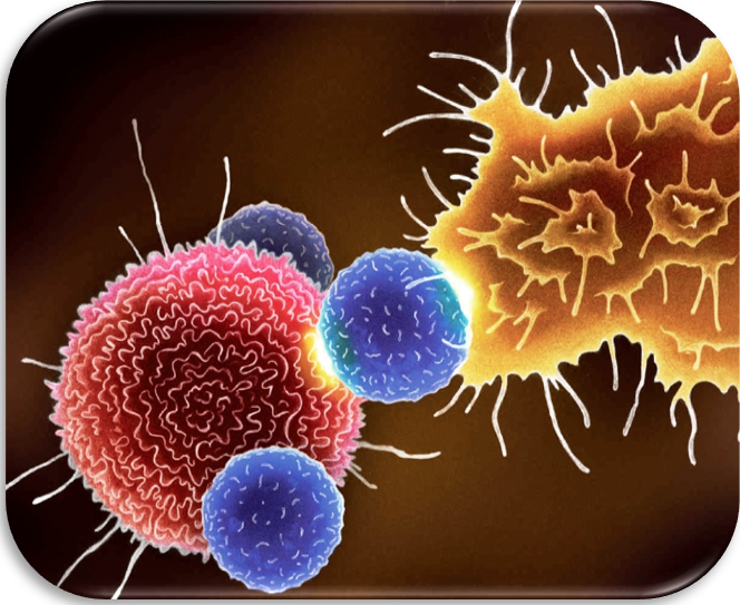 Targeted Cancer Therapy: An Evolving Approach for Cancer Treatment ...