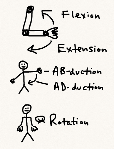 Human Anatomy: Anatomical Terminology, Orientation, and Movement ...