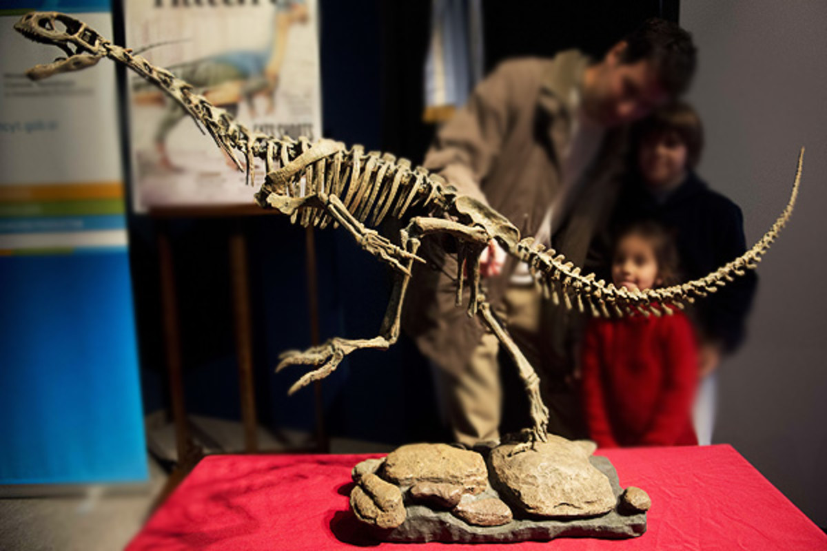 Dinosaur Discoveries of 2015 - Owlcation