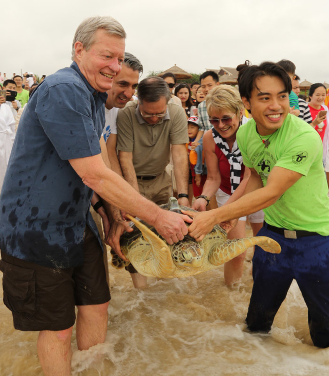 Bullying, Social Psychology, and Mob Mentality - Owlcation