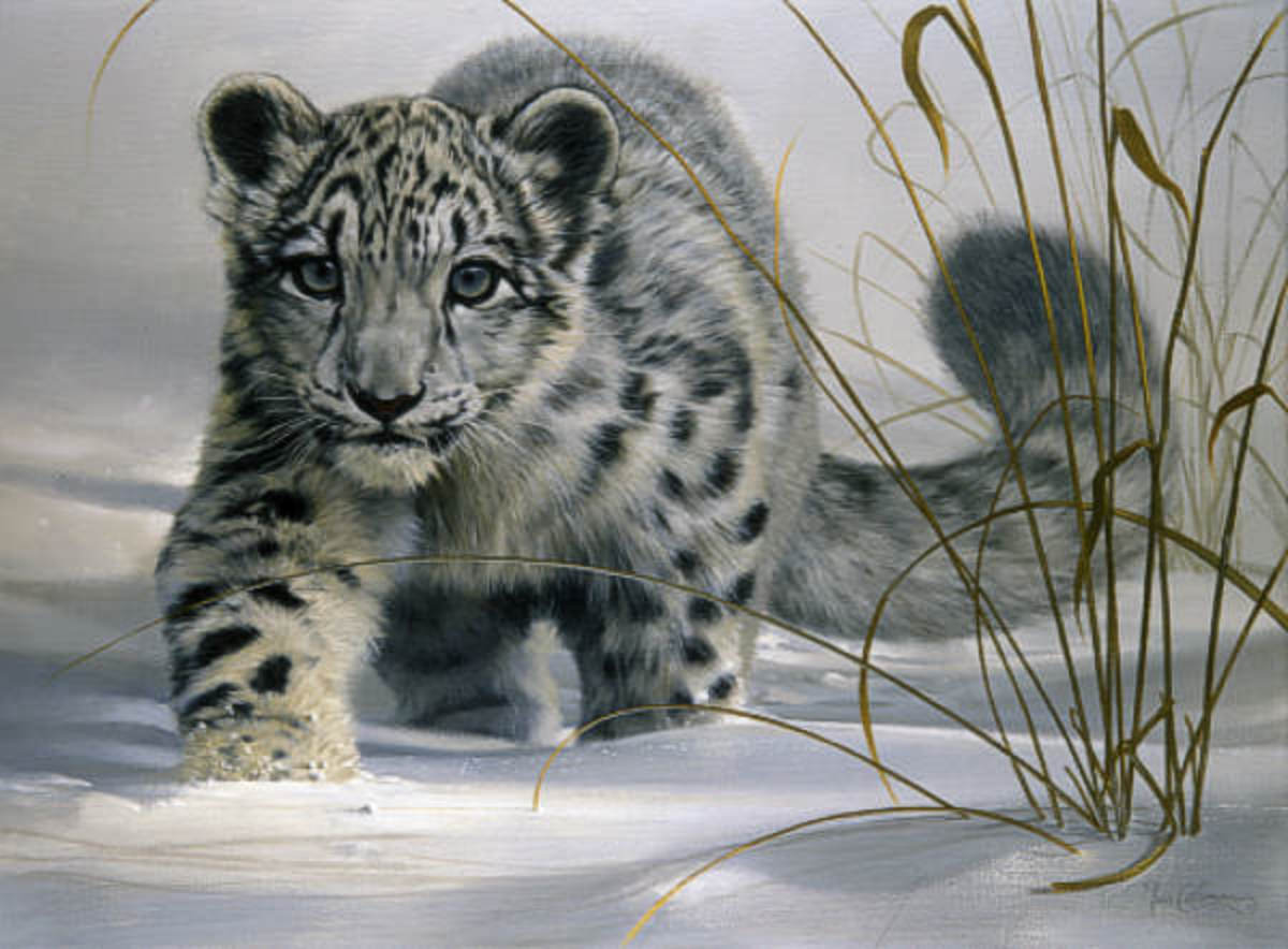 50+ Facts About Snow Leopards - Owlcation